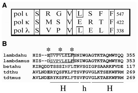 The Putative Pcna Binding Domain Of Pol λ Lies In A Conserved Download Scientific Diagram