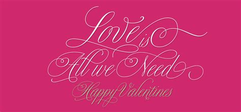 Bellissima Script Pro Font Have An Effusive Energy