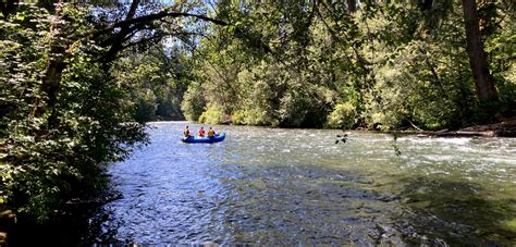 Mckenzie River Rafting Trips In Oregon Full And Half Day