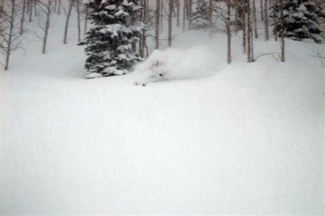 Ryan Soderberg Fat Ypus Handmade Skis