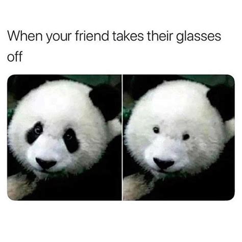 When Your Friend Takes Their Glasses Off Funny