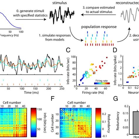 Pdf Intermediate Intrinsic Diversity Enhances Neural Population Coding