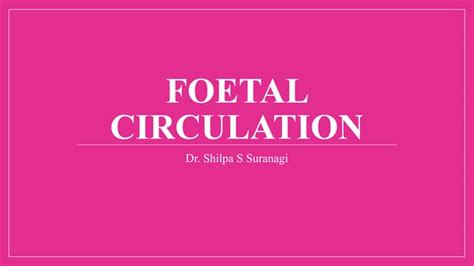 Fetal Circulation Pptx