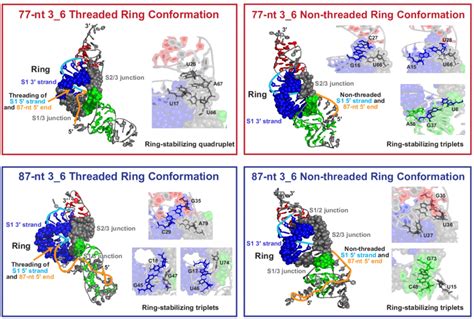 Threaded And Non Threaded 3 6 Pseudoknot Ring Conformations Top The Download Scientific