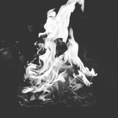 영원히 정산내역 BAND