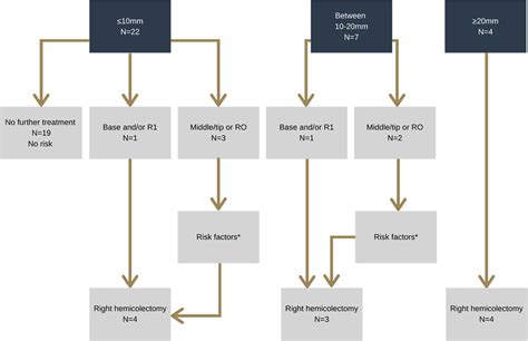 Outcomes Of Patients With Appendiceal Neuroendocrine Neoplasms Risk Download Scientific