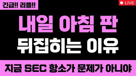 리플 대단합니다 내일 아침 판 뒤집히는 이유 지금 Sec 항소가 문제가 아니야 리플 리플코인 리플전망 Youtube