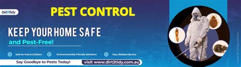 How Dettol Can Be Used To Kill Bed Bugs Say Goodbye To Bugs