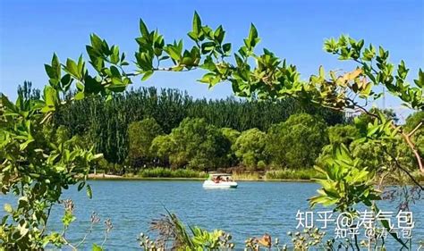 学好英语的技巧和方法 知乎
