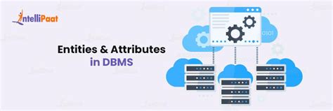 What Is An Attribute In Dbms Different Types Explained