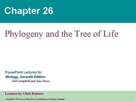 Chapter 26 Phylogeny And The Tree Of Life