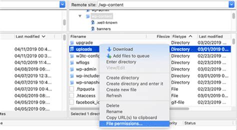 How To Fix Image Upload Issue In Wordpress Easy Tips