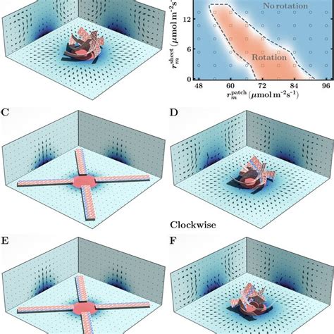 Self Rotation Of Chemically Active Sheets A Fluid Flow Generated By