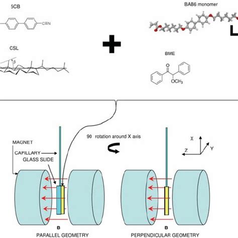 Scheme And Laboratory Reference Frame Of The Epr Measurements