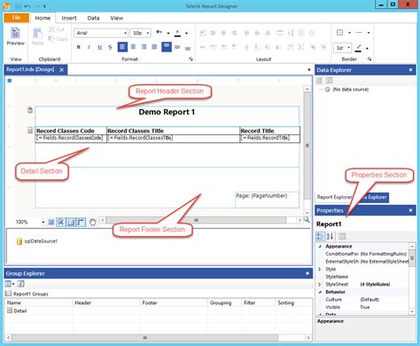Telerik Report Designer