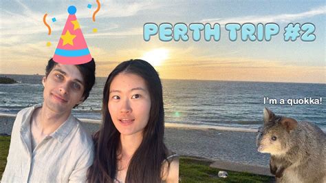 🇦🇺eng 호주 쿼카 드디어 봤다 호주 워홀 여행 로트네스트 아일랜드 프리맨틀 코트슬로 비치 퍼스 자유 여행 Youtube