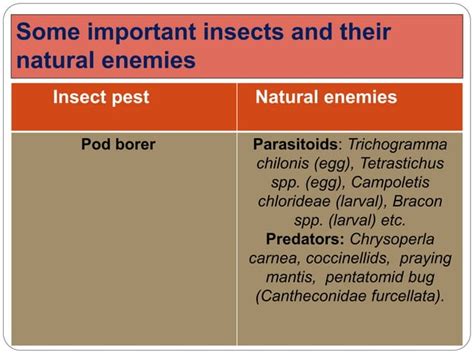 Role Of Biological Control Agent In Crop Protection Pptx Beekeeping