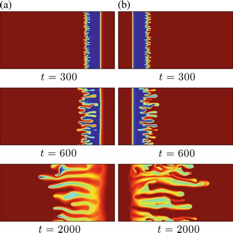 Spatial Structure Of The Solute Concentration At Successive Times In Download Scientific