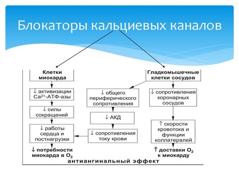 Антиангинальные средства - презентация онлайн