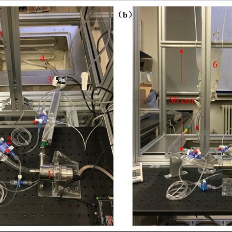 Vad In Vitro Hemolysis Test Loop A In Vitro Hemolysis Test Loop