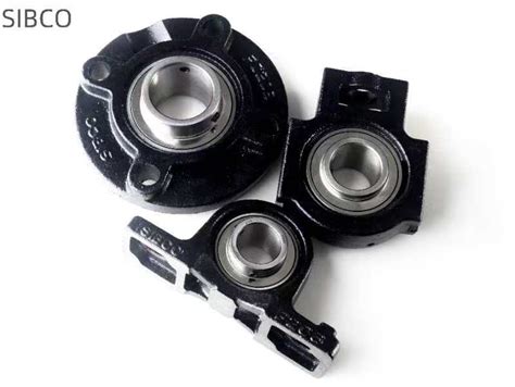 Sibco