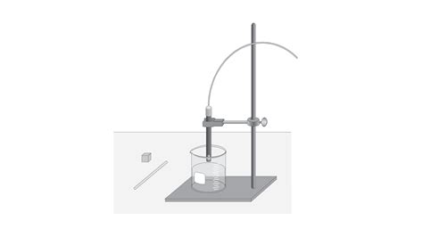 Limitations On Cell Size Surface Area To Volume Experiment From Biology With Vernier