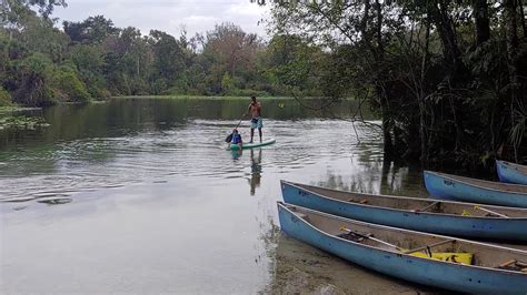 미국에서 한달살기 Youtube