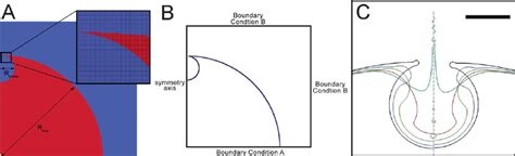 Bubble Collapse Simulation Design A Initial Conditions