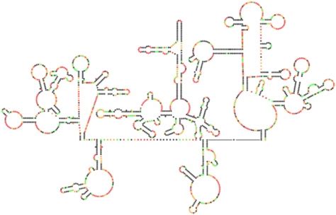 Decoding Hiv Endeavors