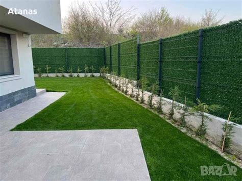 Ограда Жив плет за градина къща Пана Колове Врати Портали в Огради и мрежи в гр Асеновград