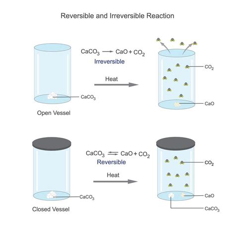 Reversible Reactions Can Go Back And Forth Reaching Equilibrium