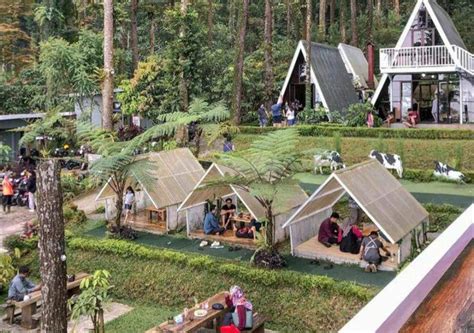 9 Info Massapi Cafe And Resto Kulineran Sembari Healing Idn Times Jateng