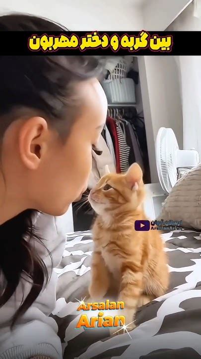 داستان بسیار زیبای گربه و دختر مهربان 😻 Youtube