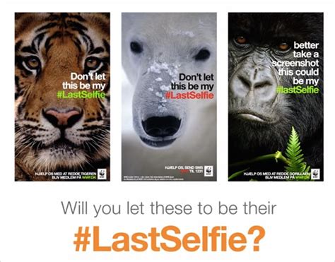 World Wildlife Fund Advertisements