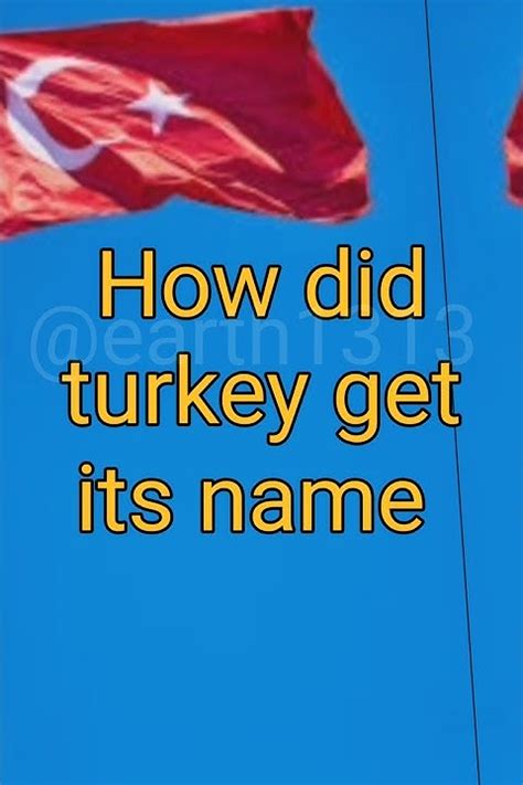 How Did Turkey Get Its Name Shorts Turkey Meaning Viral Beautiful