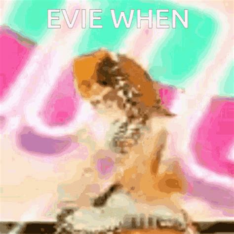 Evie Mre  Evie Mre Melt Room Emporium Discover And Share S