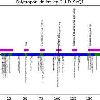 Prediction Output On The GSL Partially Annotated Sequence Download Scientific Diagram