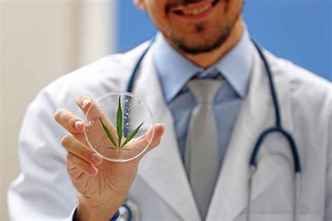 The Role Of A Medical Provider In Your Cannabis Journey Nmc Utah