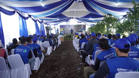 Basf Menghadirkan Era Baru Perlindungan Buah Dan Sayuran Di Indonesia