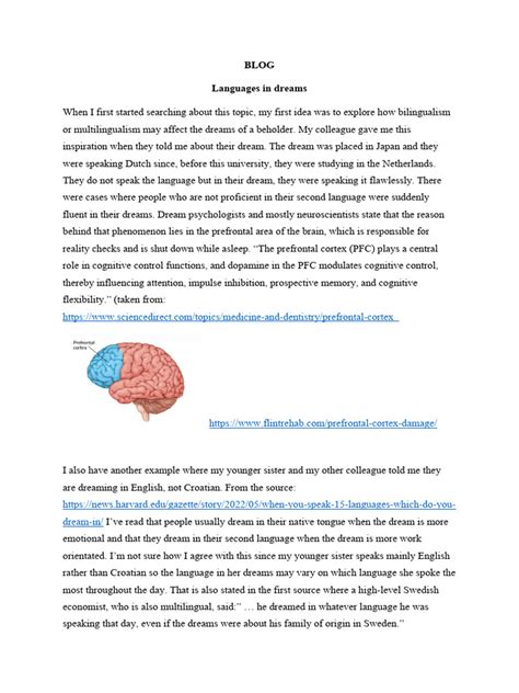 Languages In Dreams Download Free Pdf Dream Executive Functions