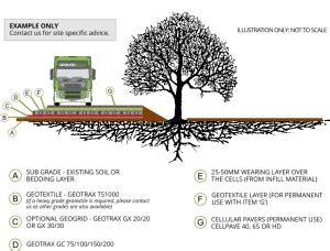Tree Root Protection Example Groundtrax