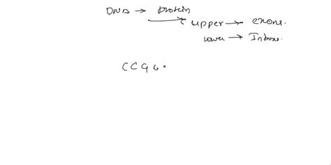 solved assume that a segment of a protein coding gene has been