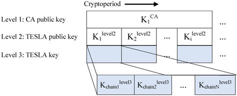 Three Level Scheme Based On The Tesla Protocol 72 Download Scientific Diagram