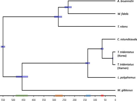 Bayesian Maximum Clade Credibility Tree Based On The Concatenated Download Scientific Diagram