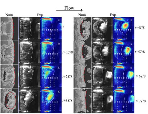 Numerically Predicted Cavity Evolution Compared With Experimental