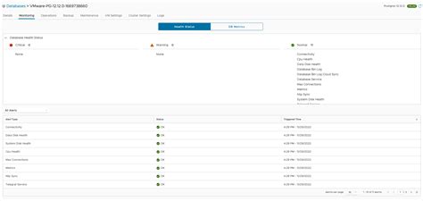 Vmware Data Services Manager V132 Database Creation