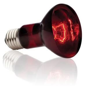 Инфракрасные лампы для обогрева: устройство и разновидности, применение