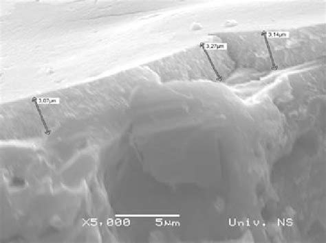 Sem Micrograph Of The Mesoporous Tio 2 Coating Nm 4000 X5000 Download Scientific Diagram