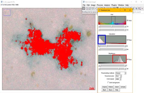Setting The Parameters For Color Threshold Using The Color Threshold Download Scientific