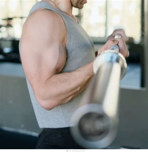 남자 팔뚝굵어지는법 팔근육키우는 헬스 이두 삼두 팔운동 덤벨컬 바벨컬 A20